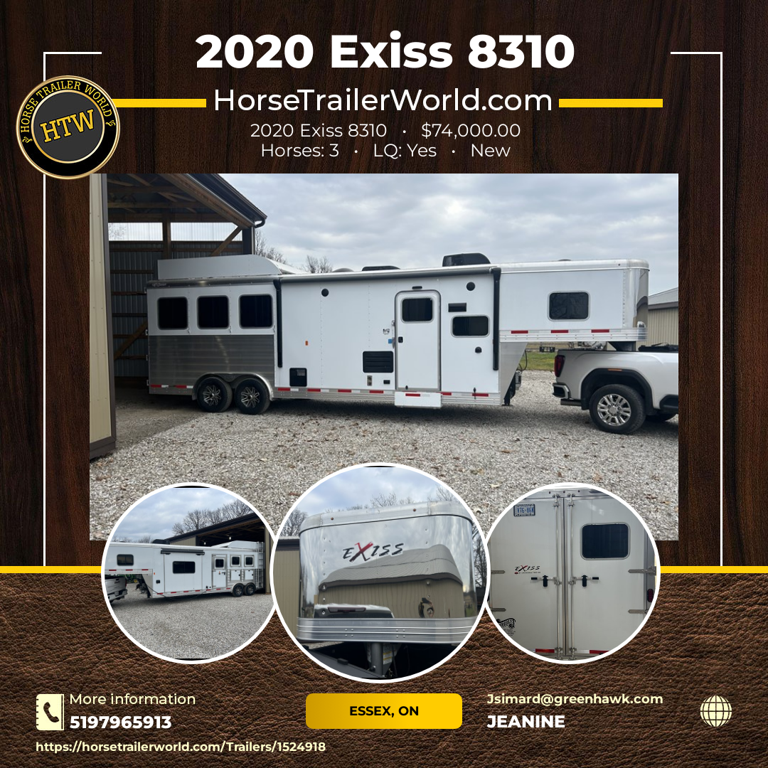 2020 Exiss 8310